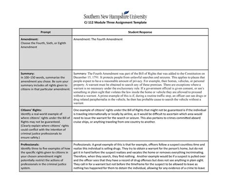 Module Three Assignment Template Be Sure Your Summary Includes All Rights Given To Citizens In