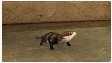 Ffxiv 6 25 Minions New