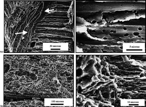 Sem Micrographs Of The Fracture Patterns In Pure Mg After Creep Rupture Download Scientific