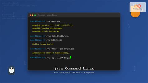 Sh Command Linux Complete Guide To Shell Script Execution And Commands