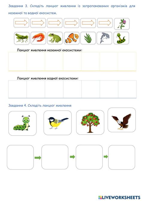 Практична робот… Free Interactive Worksheets 7608103