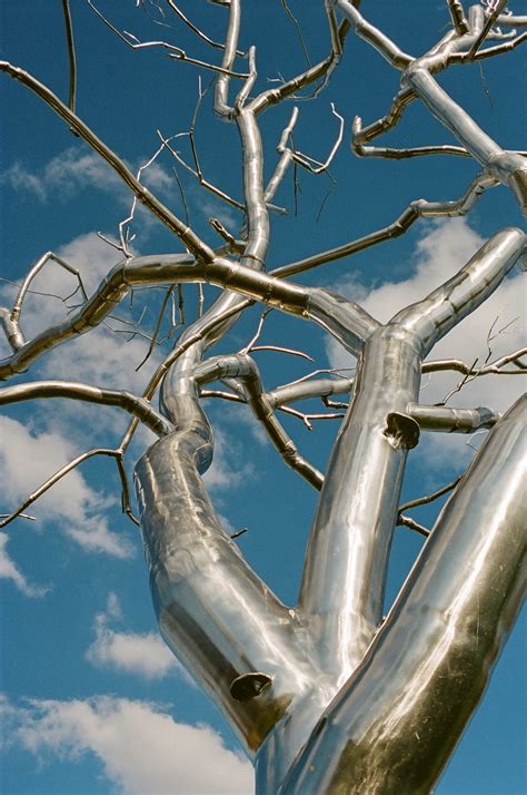 Analyzing Git Activity With Gitstats By Gaetano Piazzolla Geek