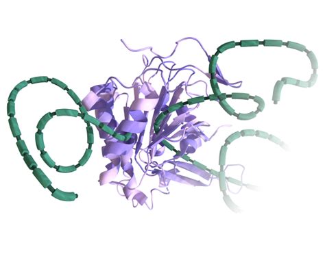 Expertise Analytics And Metrics Curapath