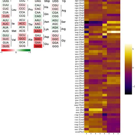 Figure Ev3 Regulation Of Codon Fidelity A Heatmaps Showing The