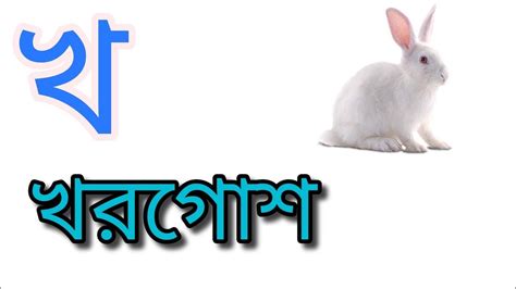 ক খ গ ঘ ঙ বাংলা উচ্চারণ বাংলা ব্যঞ্জনবর্ণ ক খ গ ঘ বাংলা বর্ণমালা