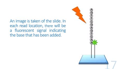 Next Generation Sequencing Ppsx