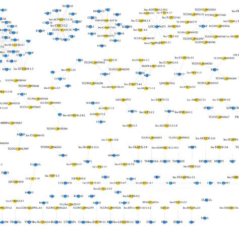 Mcl Clustering Of Coexpression Lncrna And Mrna Download Scientific