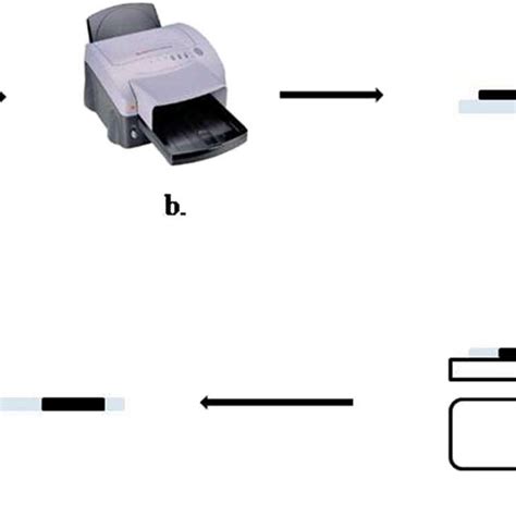 A Typical Microfluidic Paper Based Analytical Device Setup A Download Scientific Diagram