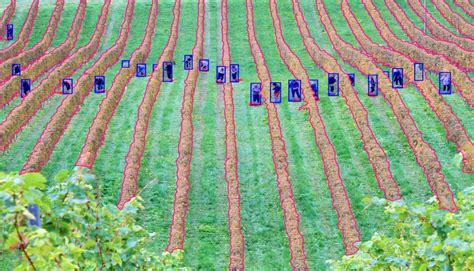 Beginners Guide To Semantic Segmentation Keymakr