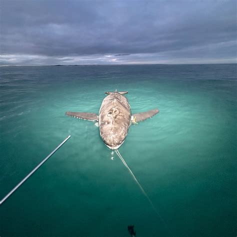 Hexagon Ab Hexagonab On X Boon Choon Lim