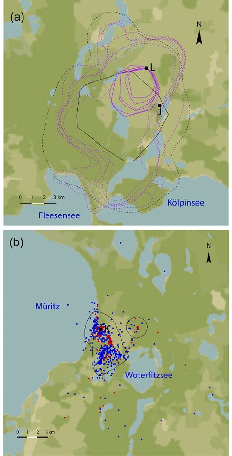 A Home Ranges Of Male Id During The Breeding Season In Nest J In Download Scientific