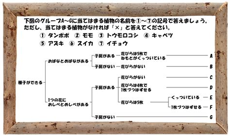 中学受験の理科 植物の発芽と成長～条件を調べる実験の問題演習と解説 中学受験 理科 偏差値アップの勉強法