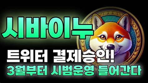 시바이누 코인 트위터 결제 승인 3월부터 시범운영 들어간다 시바이누 시바이누코인 일론머스크 코인 코인전망