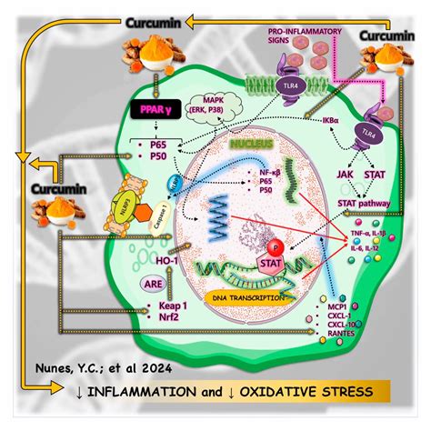 Biochemistry Nutrition Medlab Pic1👉🏻sex Differences Shape Every Stage Of The Microbiota Gut