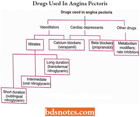 Antianginal Drugs Classification Bds Notes