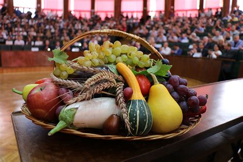 Аграрен Университет Пловдив