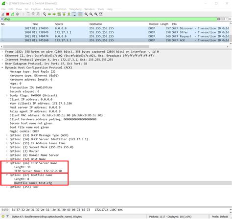 Checkpoint Enable Dhcp Server And Dhcp Options 66 67 Networking Lab