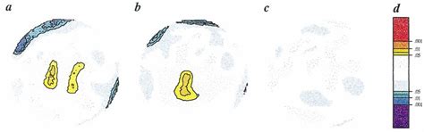 Scalp Topography Front Of Head Is At Top T Test Plots Of The Voltage Download Scientific