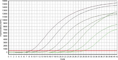 Figure 1 From Development And Application Of A Taqman Mgb Real Time Rt Pcr Assay For The