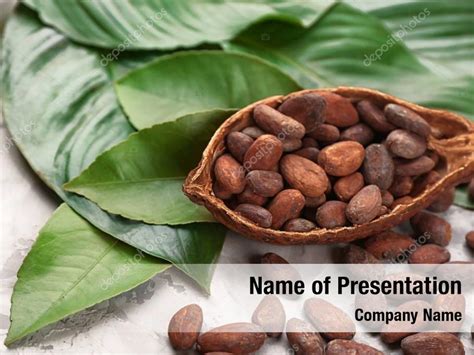 Pod Ripe Cocoa Beans Light PowerPoint Template Pod Ripe Cocoa Beans Light PowerPoint Background