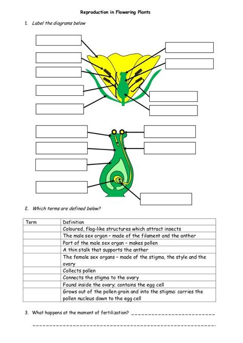 Reproduction In Floweringplants 1