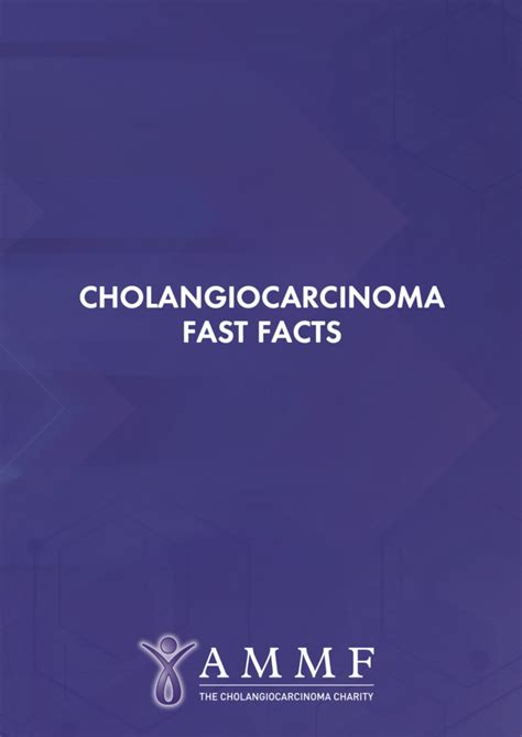 Cca Fast Facts Cover Ammf