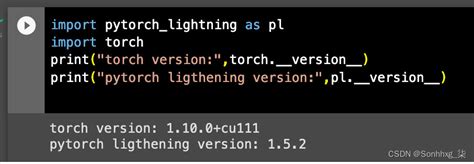 【pytorch lighting】第 1 章：pytorch lightning adventure pytorch lightning lstm csdn博客