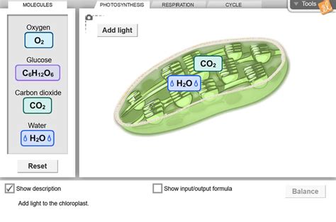 Diffusion Simulation Explorelearning Gizmos
