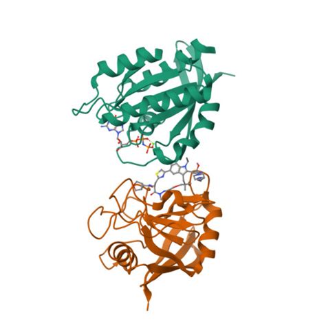 Rcsb Pdb 8tbm Tricomplex Of Rmc 7977 Kras G12v And Cypa