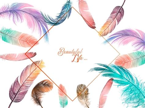 Premium Vector Feathers Background Design Vector Eps
