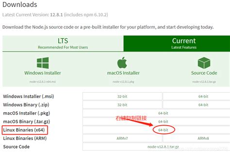 在centos上通过二进制文件安装nodejs（install Nodejs Via Binary Archive On Centos）centos Npm G 阿里二进制文件 Csdn博客