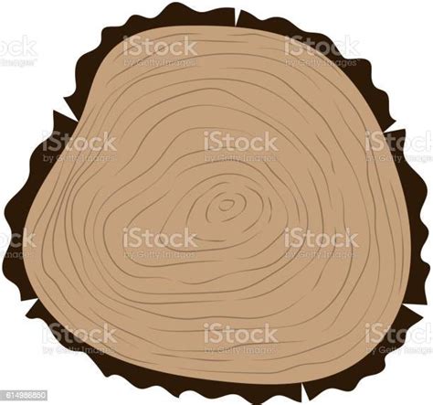 Tree Slice Vector Isolated Stock Illustration Download Image Now