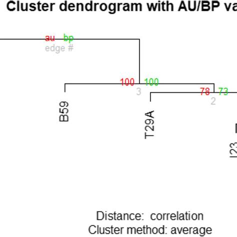 Evolutionary Relationships Based On Coincidence Of Sequence Structural
