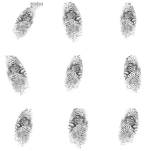 Data Augmentation Rotated Fingerprint On ±30 • Download Scientific Diagram