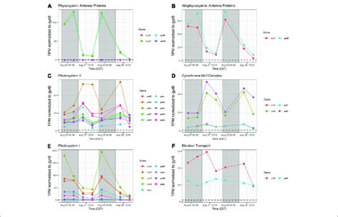 Diel Transcriptional Patterns Of Microcystis Photosynthesis Genes