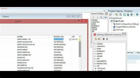 Picklist Do Dbgrid Delphi 103 Youtube