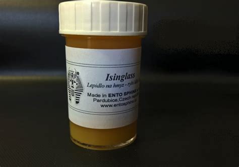 Mounting Glue Isinglass 30g Mad Hornet Entomological Supplies