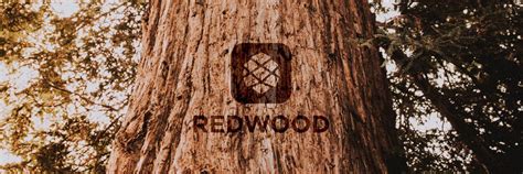 Learn About Redwoodjs The Full Stack Jamstack Framework