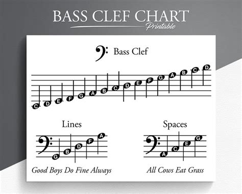 The Bass Clef Chart For Bass Clefs Is Shown In Black And White