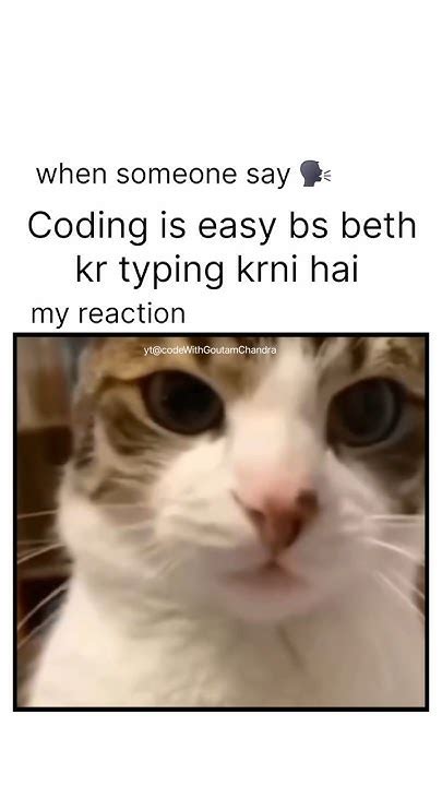Is Coding Easy Coding Memes Codingmemes Youtube