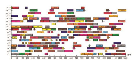 Gantt Chart Of Problem Seti5xyz In Experiment 4 Download Scientific
