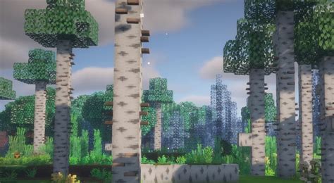 「🌳」silver Birch Forest Mizunos 16 Craft Mod Compatibility Minecraft Texture Pack