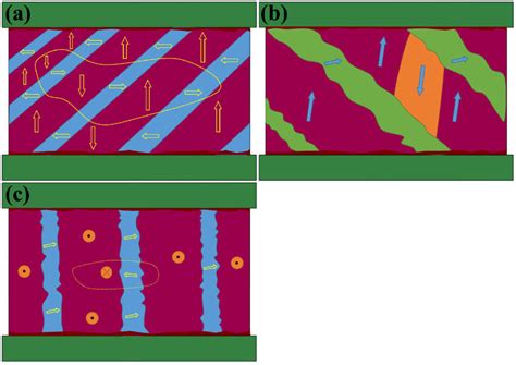 The Schematic Domain Structure In The A B Plane Of The 1 0 0 Pc A