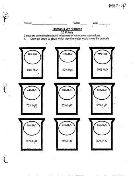 Osmosis Worksheet Pdf