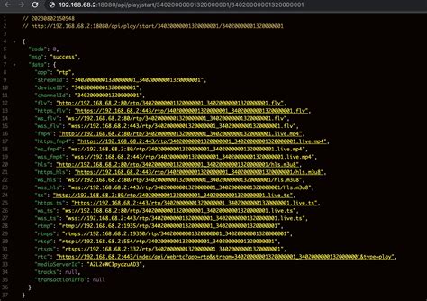技术咨询 · Issue 983 · 648540858wvp Gb28181 Pro · Github
