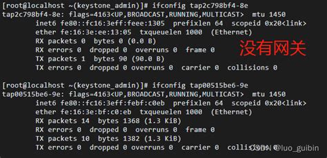 Openstack（4） Namespace实现不同项目（租户）重叠网段openstack Namespace Csdn博客
