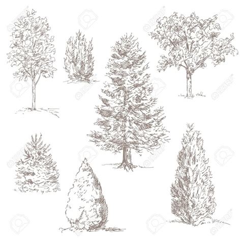 Pin On How To Draw Realistic Trees Plants Bushes And Rocks Tree
