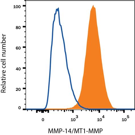 Human Mmp 14 Mt1 Mmp Pe Conjugated Antibody Fab9181p Randd Systems