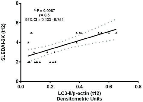 Correlation Between Lc3 Ii Autophagy Marker Levels Determined By Download Scientific Diagram