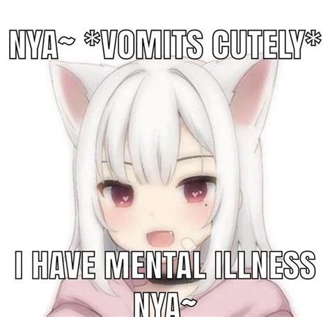 Made A Compilation Of Things Ive Been Told Texted Several Tw R Madeofstyrofoam